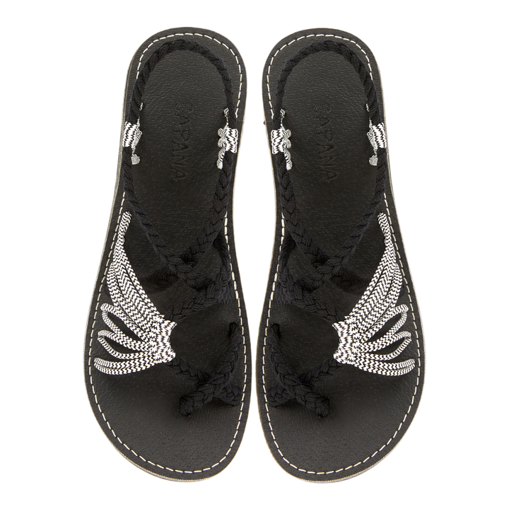 Products Archive - CAPANA