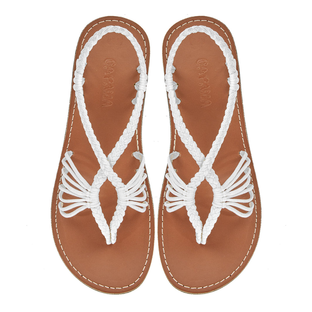 Cocoon Collection - CAPANA